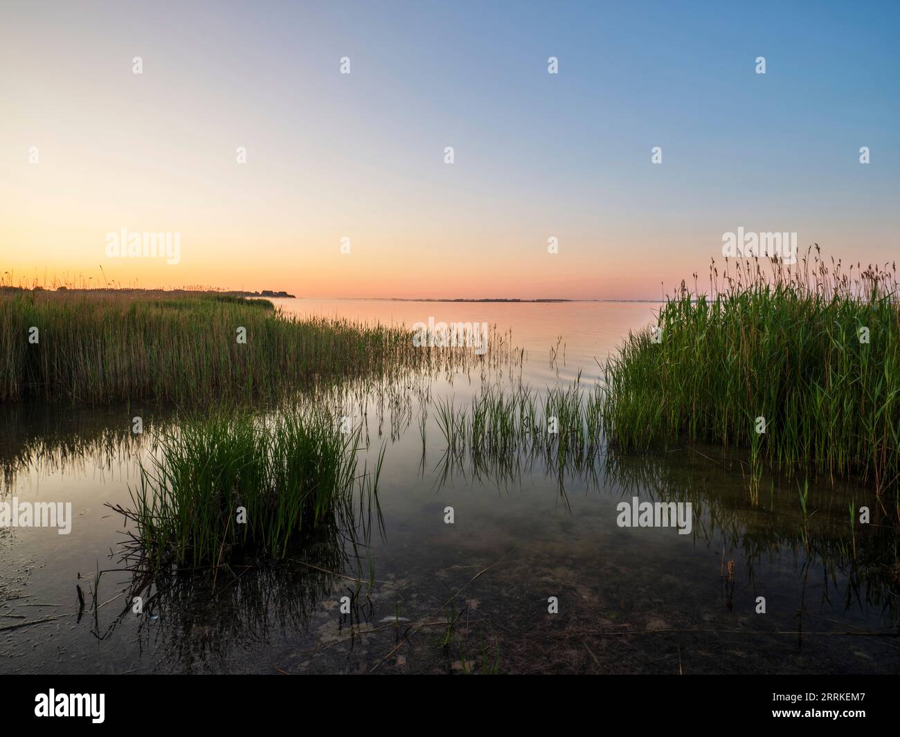 Barther heerd hi-res stock photography and images - Alamy