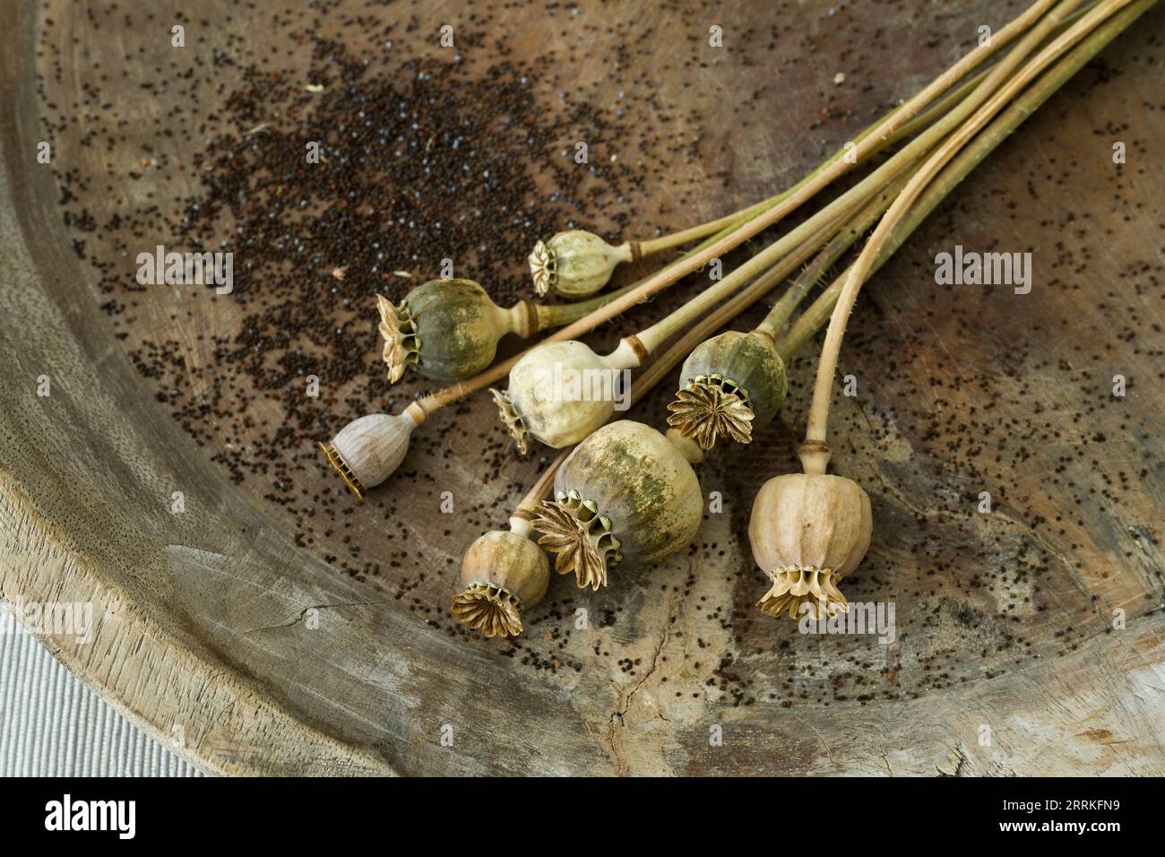 Poppy seeds pod inside hi-res stock photography and images - Alamy