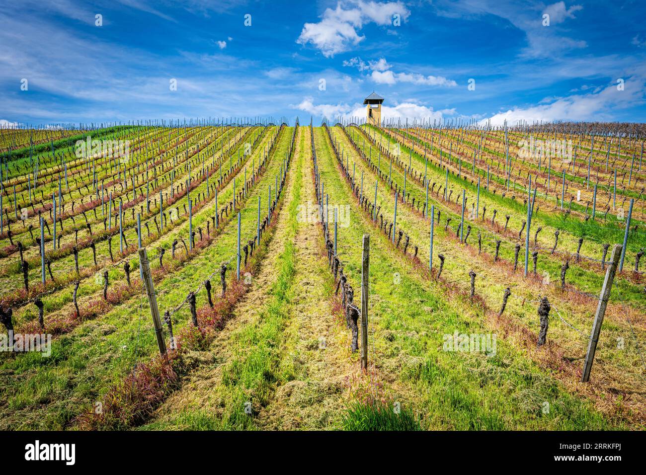 Vendersheim tower hi-res stock photography and images - Alamy