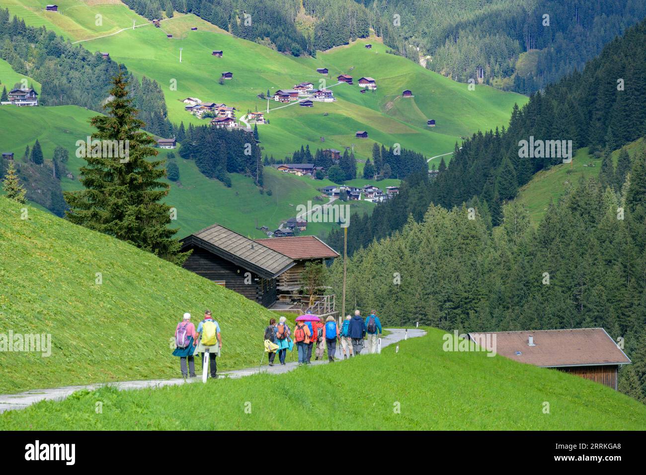 Austria, Tyrol, Zillertal, hiker in Tuxertal Stock Photo - Alamy