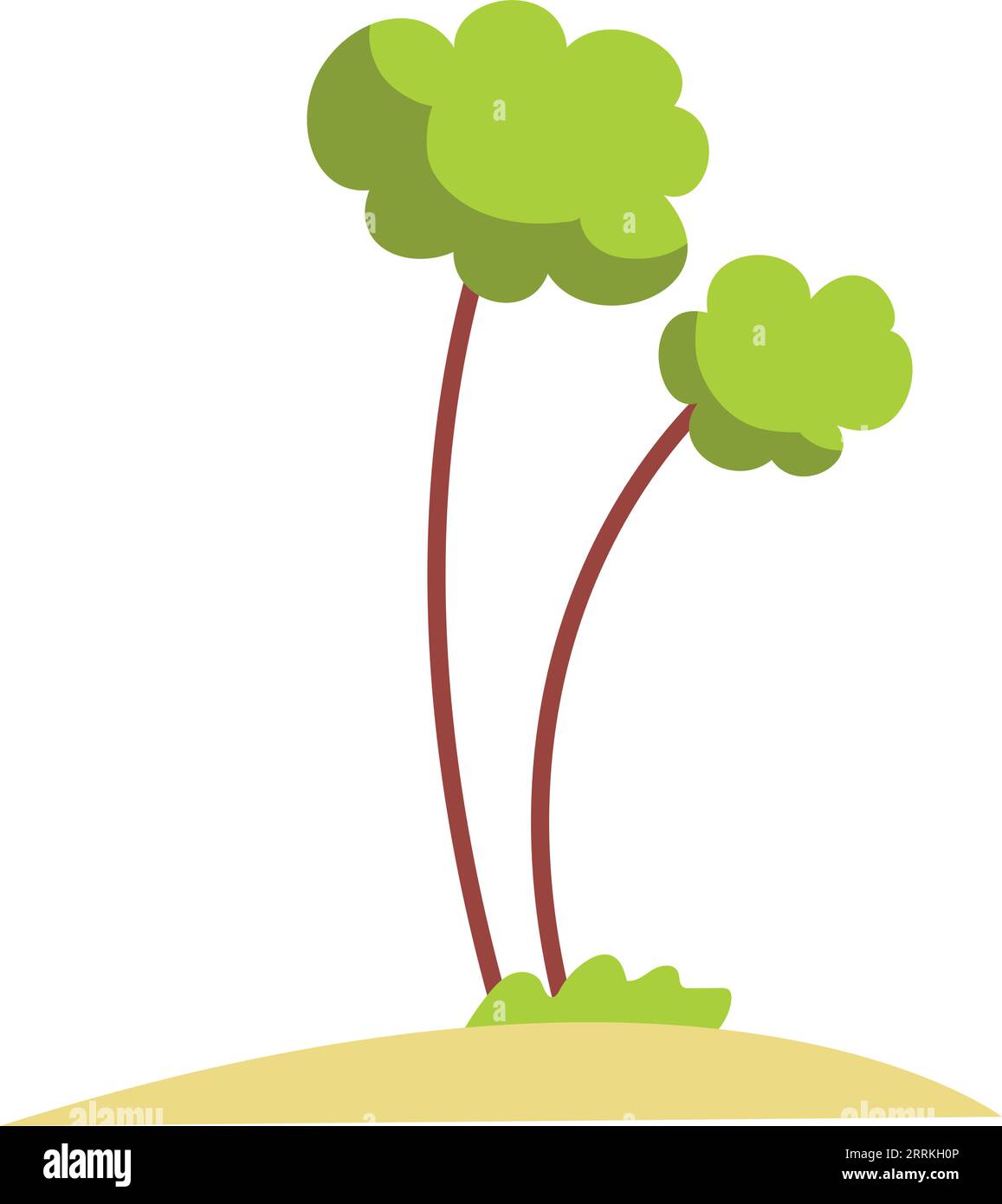 Tree growing on beach Cut Out Stock Images & Pictures - Alamy