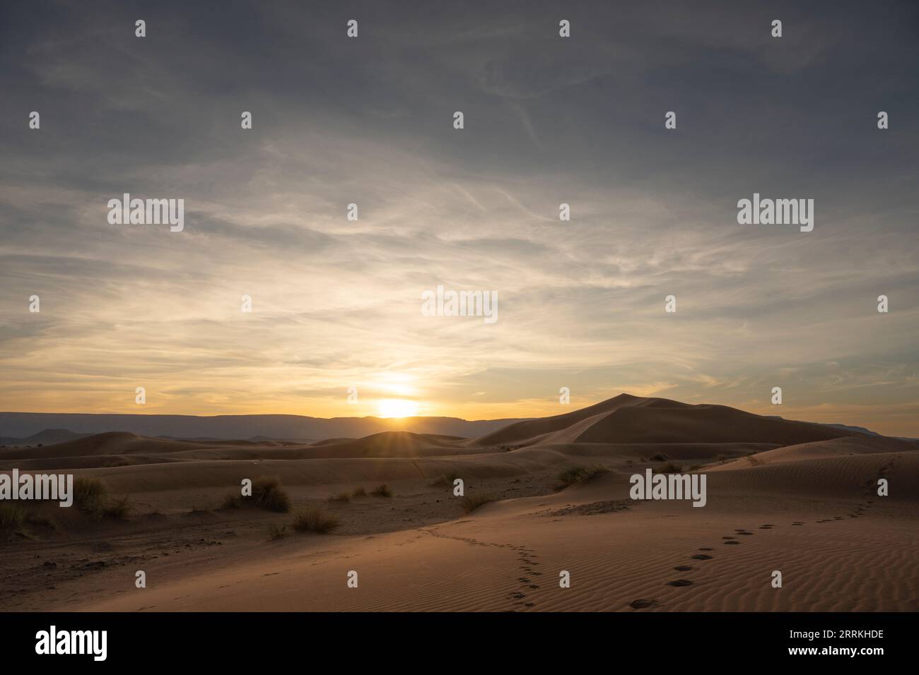 Africa, North Africa, Morocco, South Morocco, Tamegroute, landscape ...