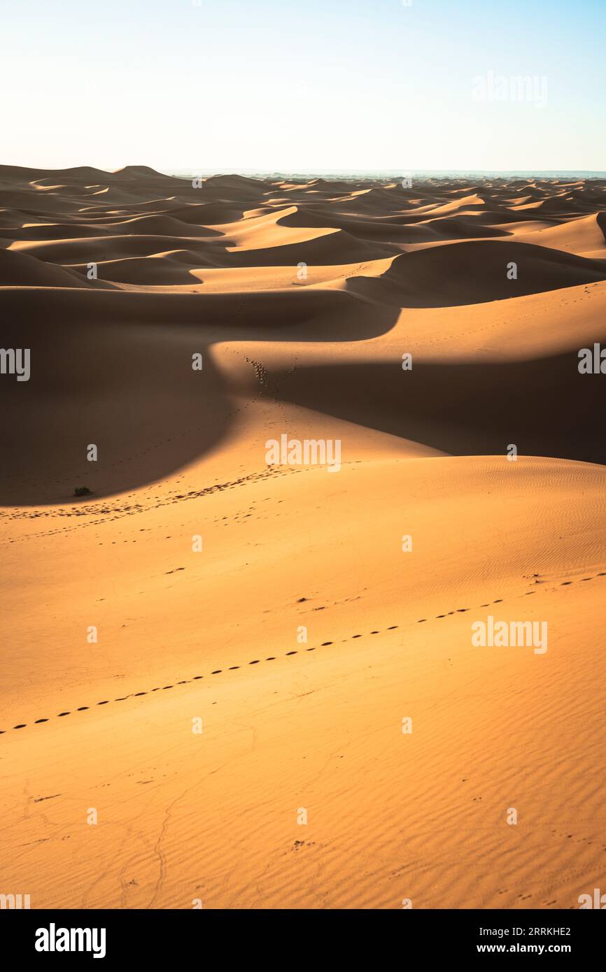 Morocco, southern Morocco, Chegagga, Sahara, desert, sunrise, sand ...