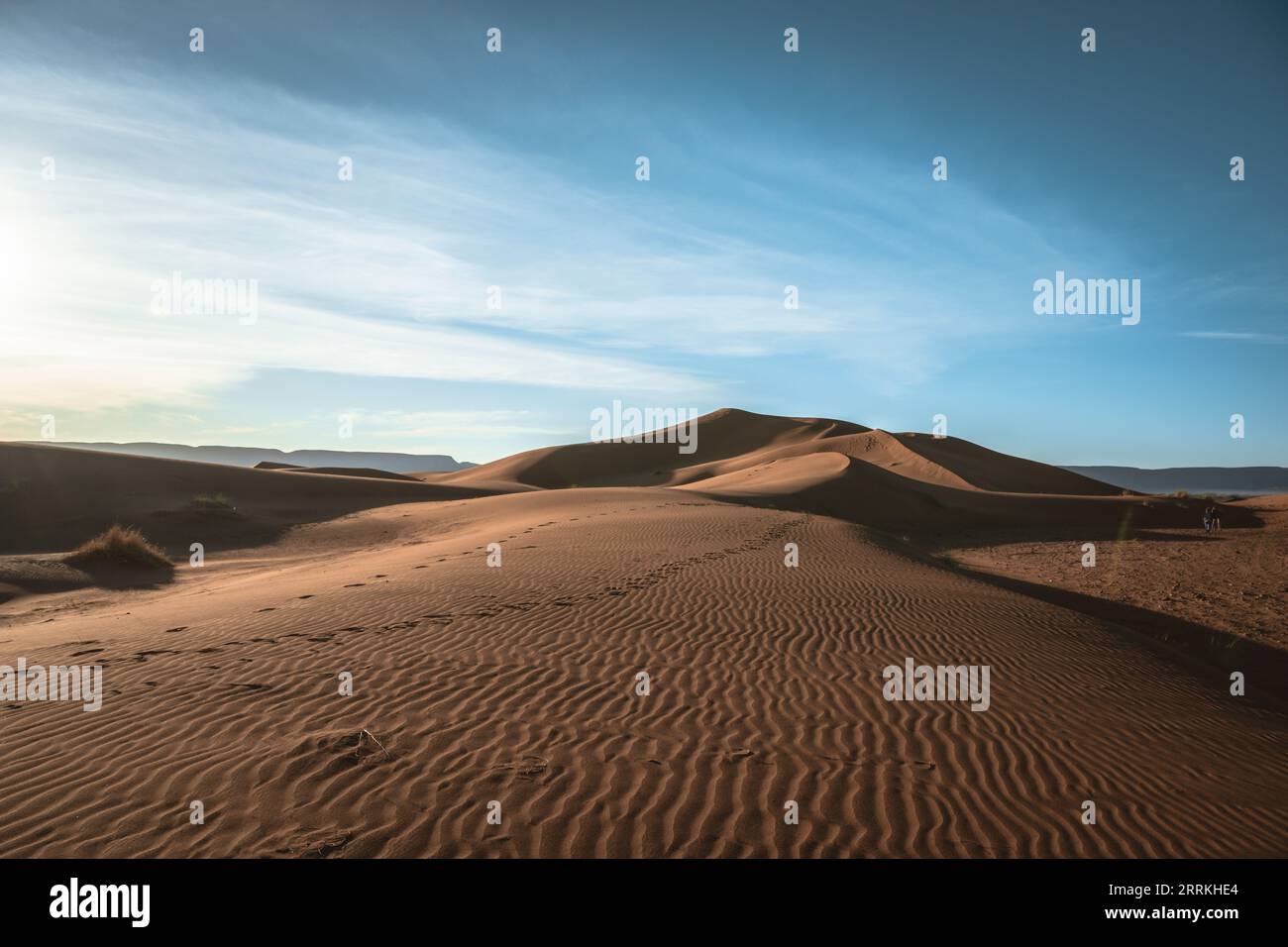 Africa, North Africa, Morocco, South Morocco, Tamegroute, landscape ...