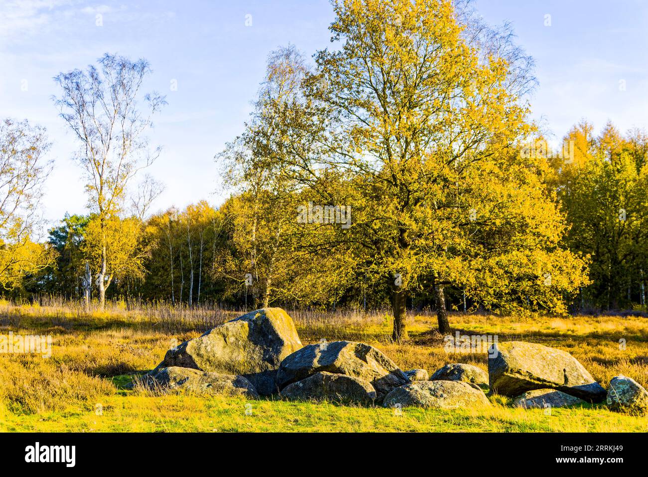 Stone setting 'Glaner Braut' from the Stone Age near Doetlingen Stock ...