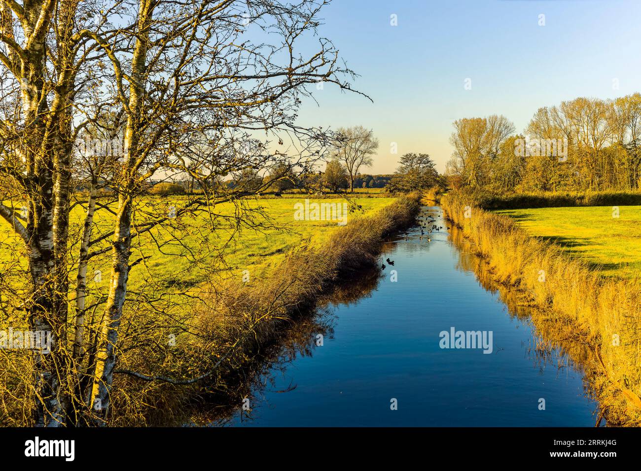 Watercourse landscape hi-res stock photography and images - Alamy