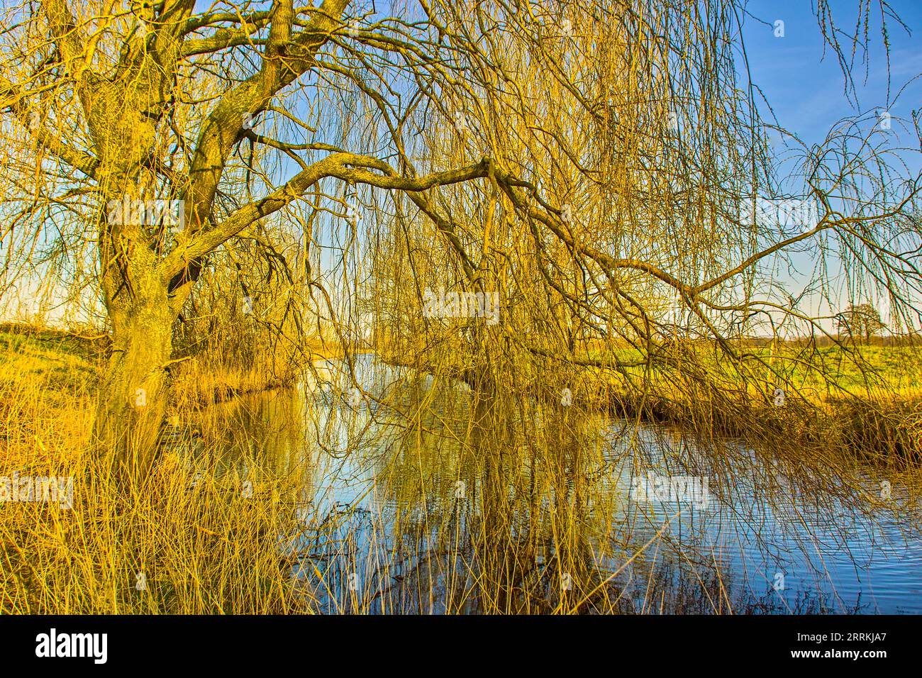 Drainage channels resembling small rivers crisscross the huntemarsch hi ...