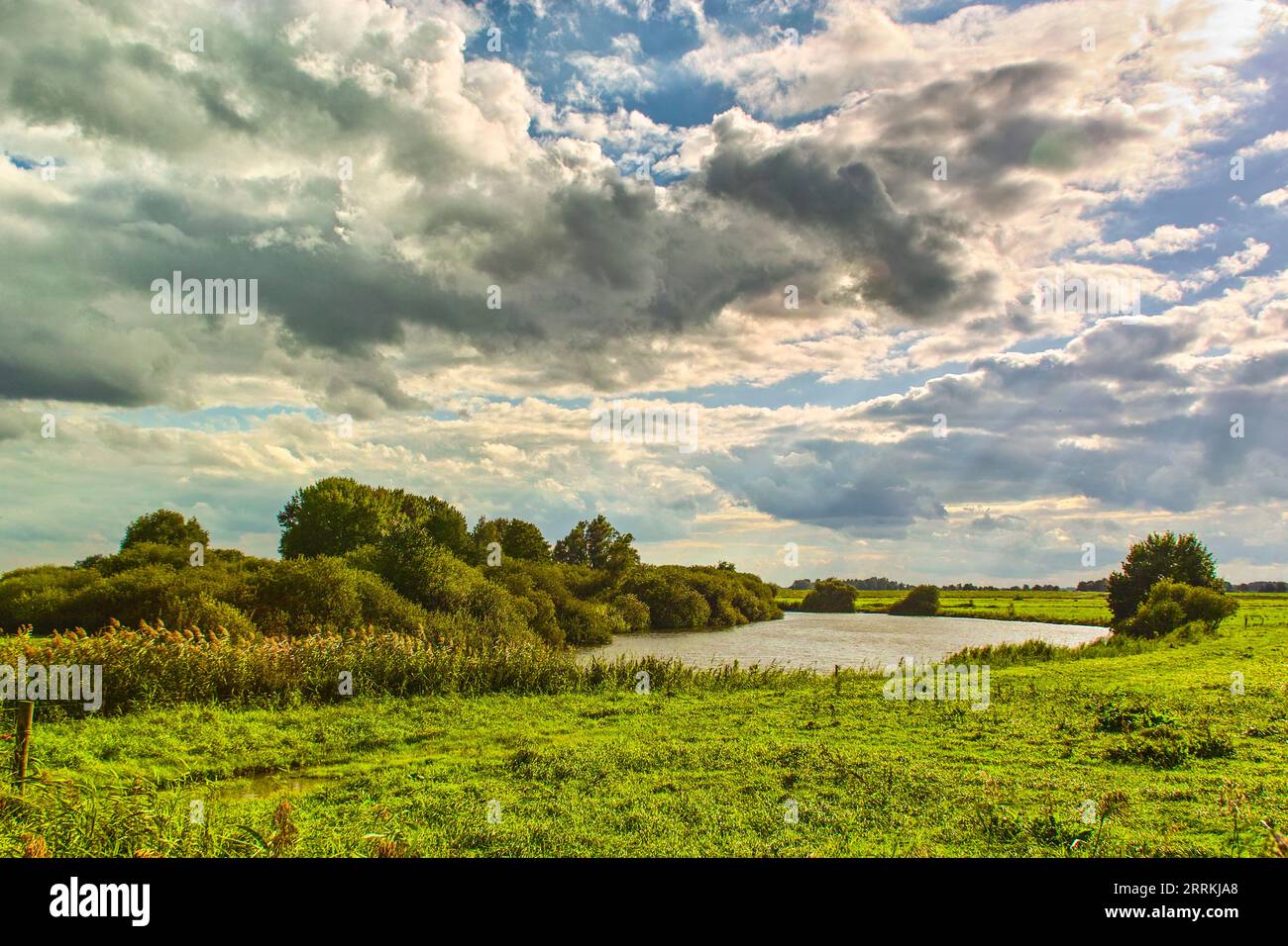 Remnants of former river meanders and floodplains form ideal refuges ...