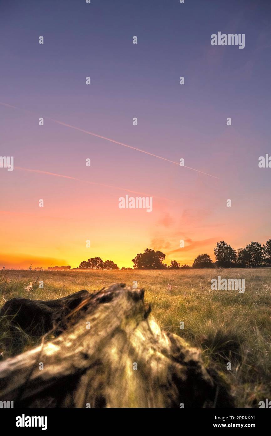 Landscape shot in Taunus, beautiful nature in sunrise, forest and ...