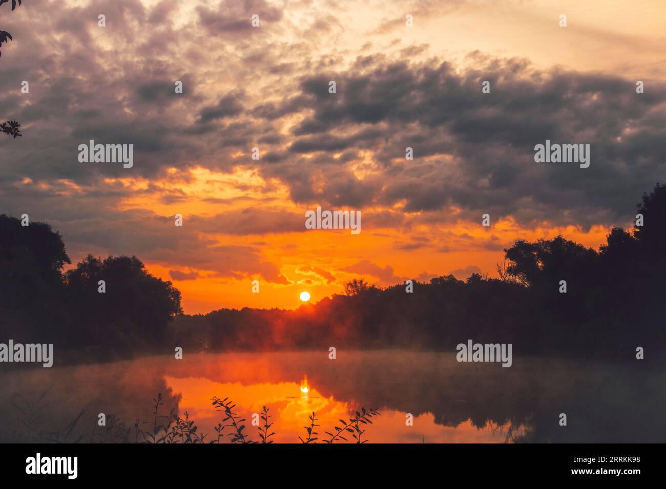 A beautiful small lake, pond in the heart of the Taunus. The Meerpfuhl ...