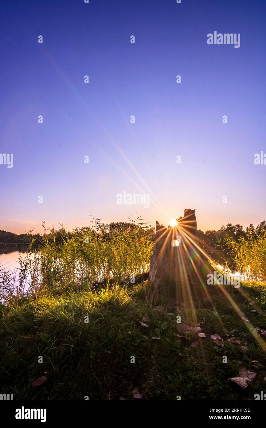 Beautiful shot pond tree hi-res stock photography and images - Alamy