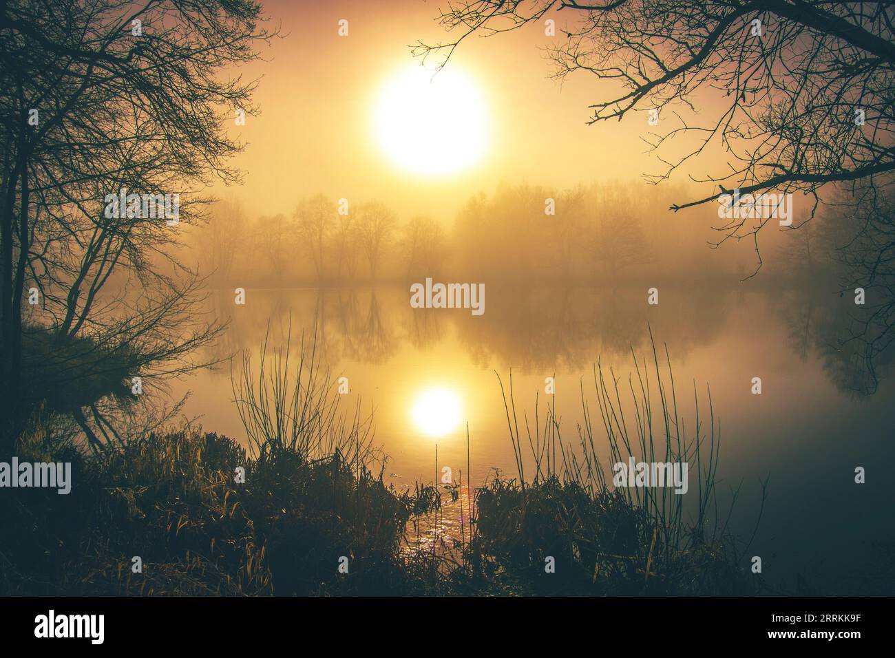 A beautiful small lake, pond in the heart of the Taunus. The Meerpfuhl ...