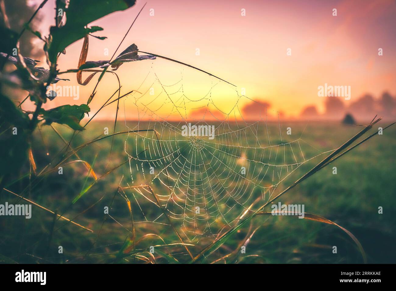 Landscape shot in Taunus, beautiful nature in sunrise, forest and ...
