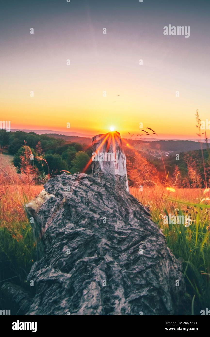 Landscape shot in Taunus, beautiful nature in sunrise, forest and ...