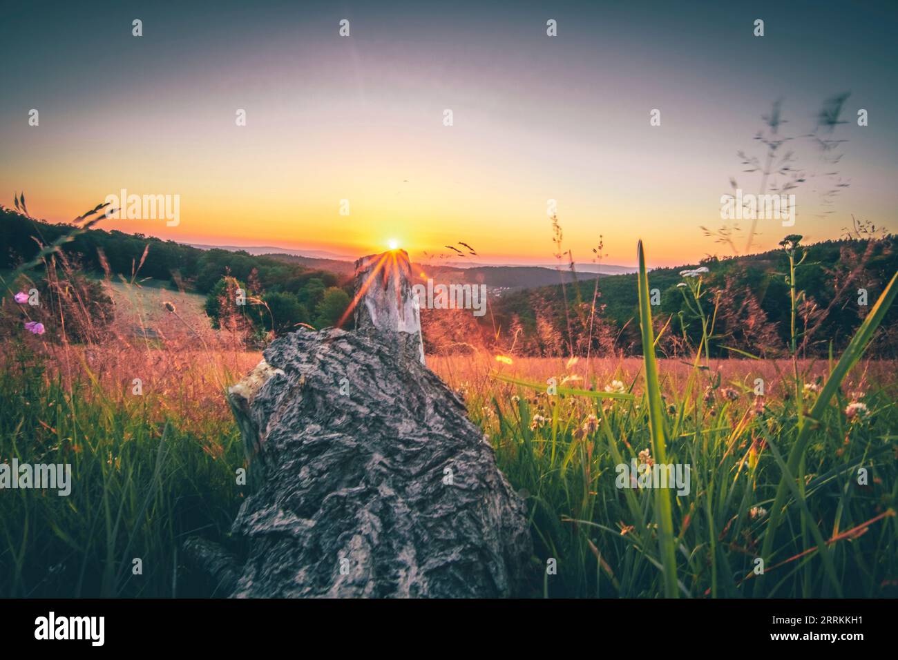 Landscape shot in Taunus, beautiful nature in sunrise, forest and ...