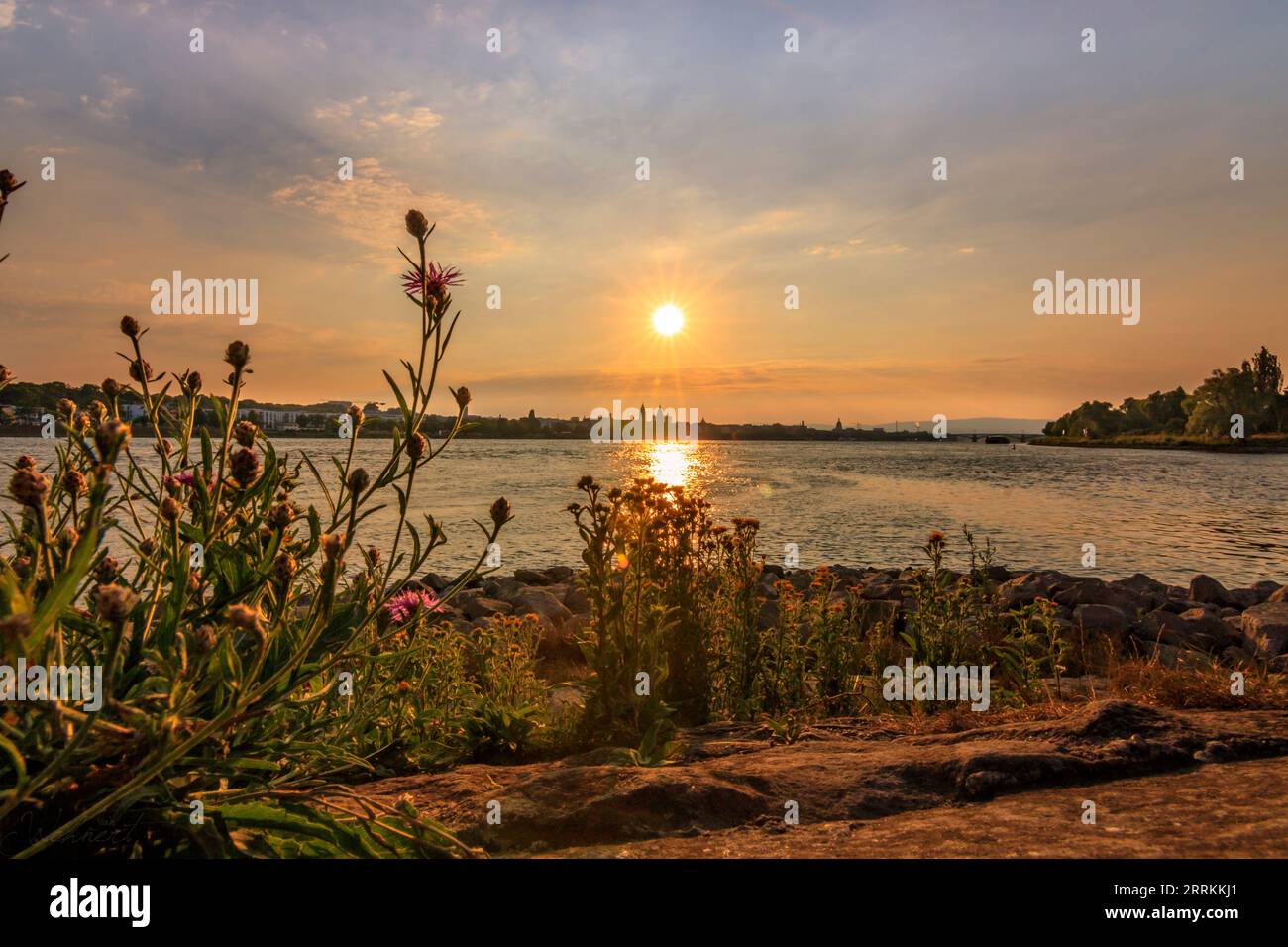 Beautiful riverside location hi-res stock photography and images - Alamy