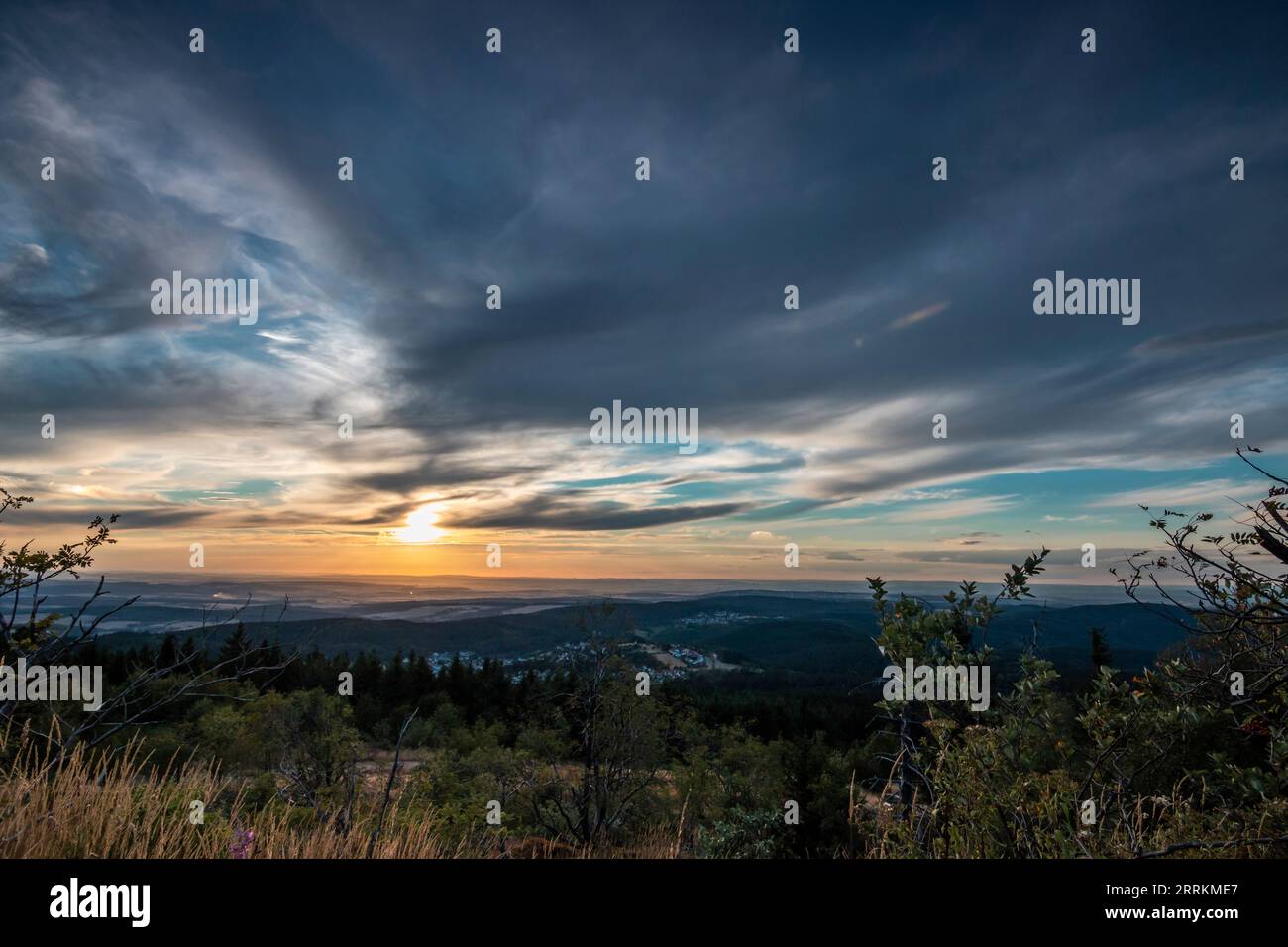 Beautiful forest view hi-res stock photography and images - Alamy