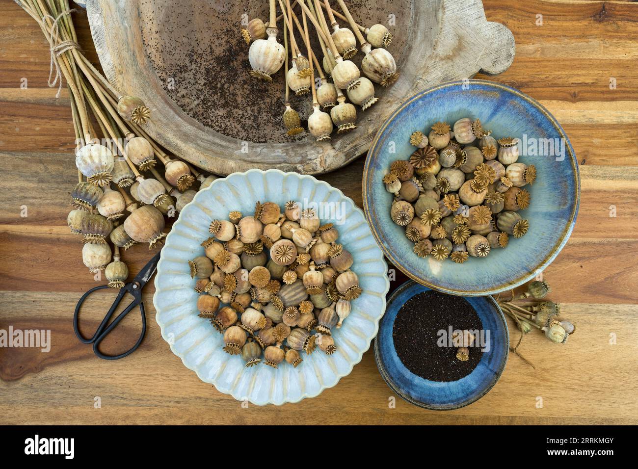 dried poppy capsules and seeds in bowls made of wood and blue glazed ...