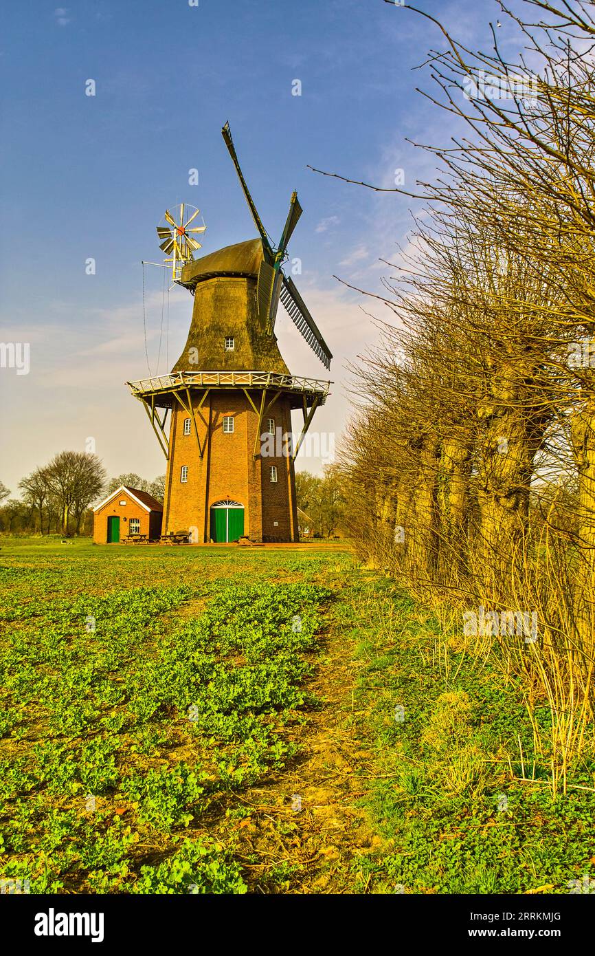 Holtland windmill hi-res stock photography and images - Alamy