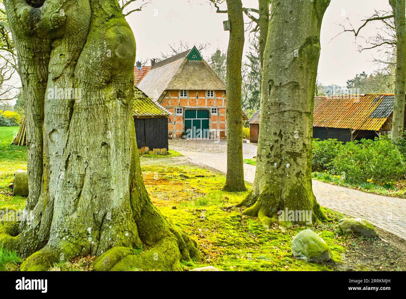 a farmhouse typical for the Wildeshauser Geest with farm outbuildings ...