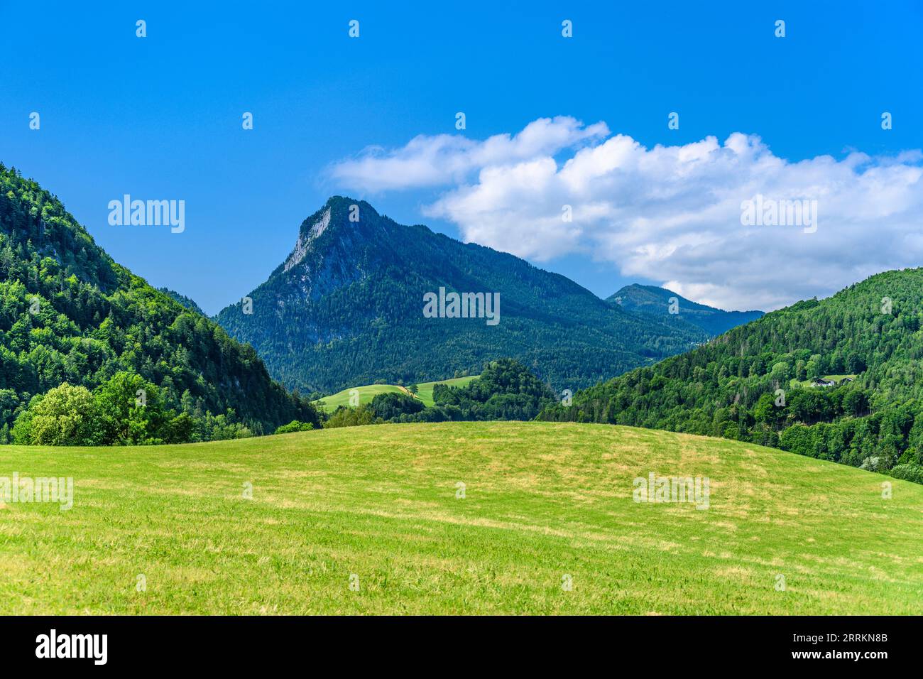 Baumgarten hi-res stock photography and images - Alamy