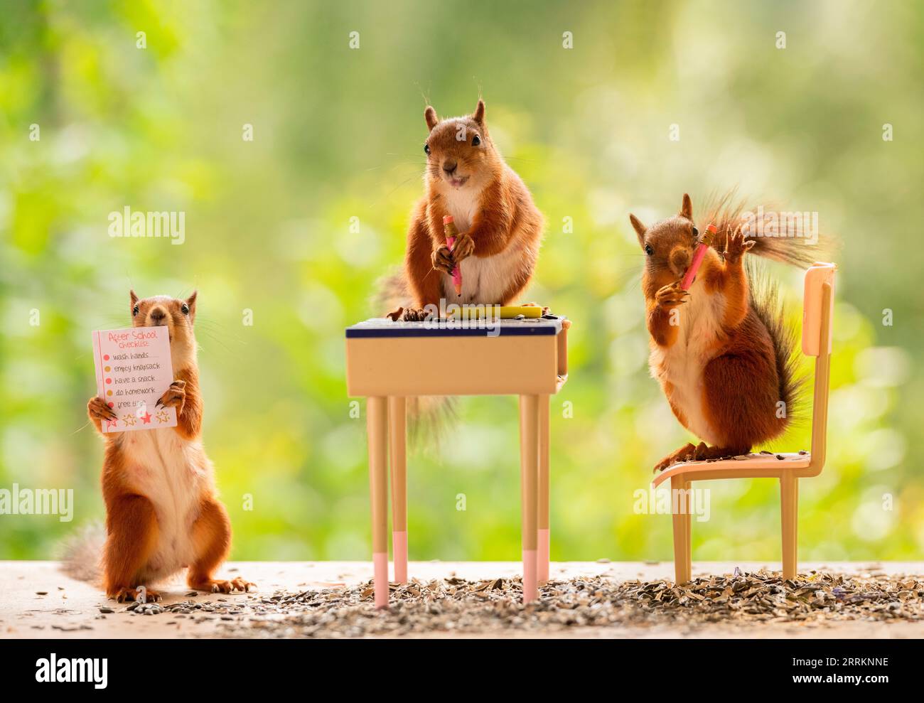 Check list hi-res stock photography and images - Alamy