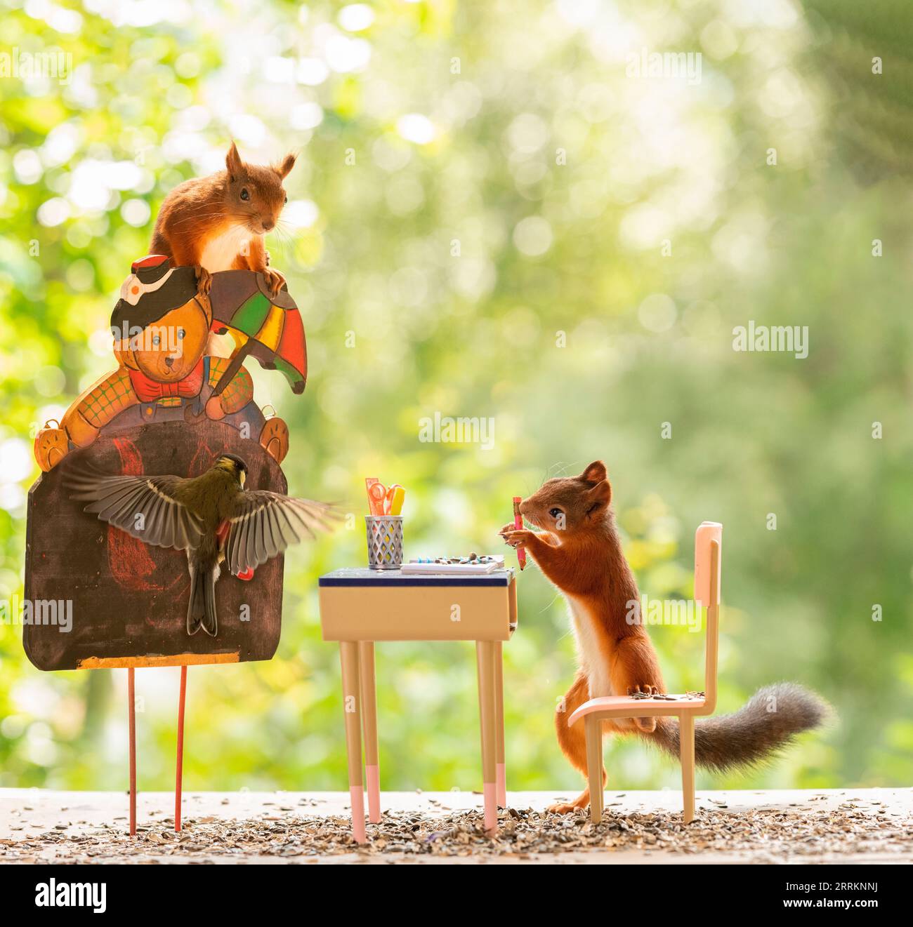 School class animals hi-res stock photography and images - Alamy