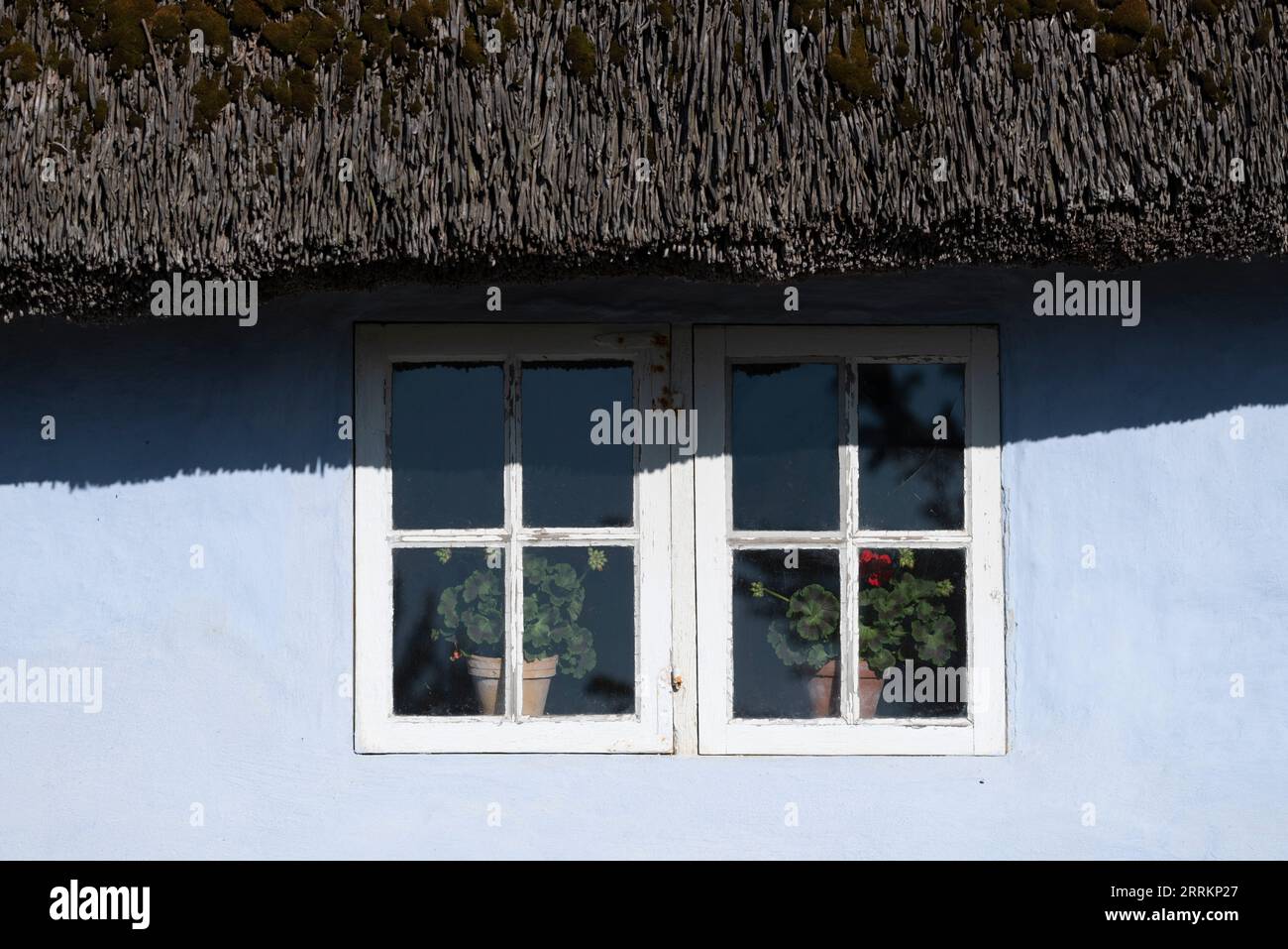 Parish widow house, window, thatched house, flowers, Groß Zicker ...