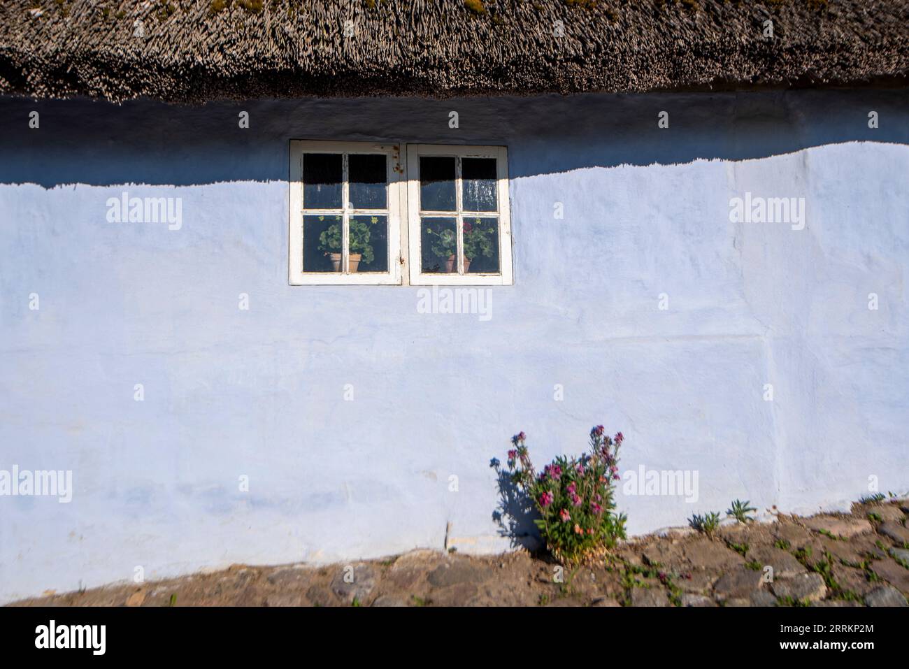 Parish widow house, window, thatched house, flowers, Groß Zicker ...