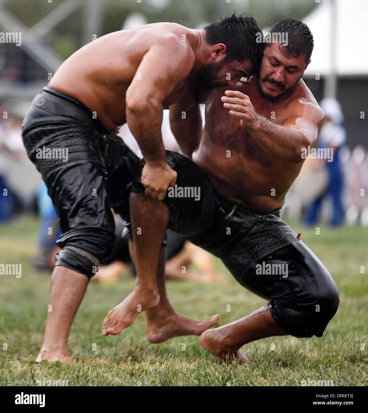 Oil wrestling hi-res stock photography and images - Alamy