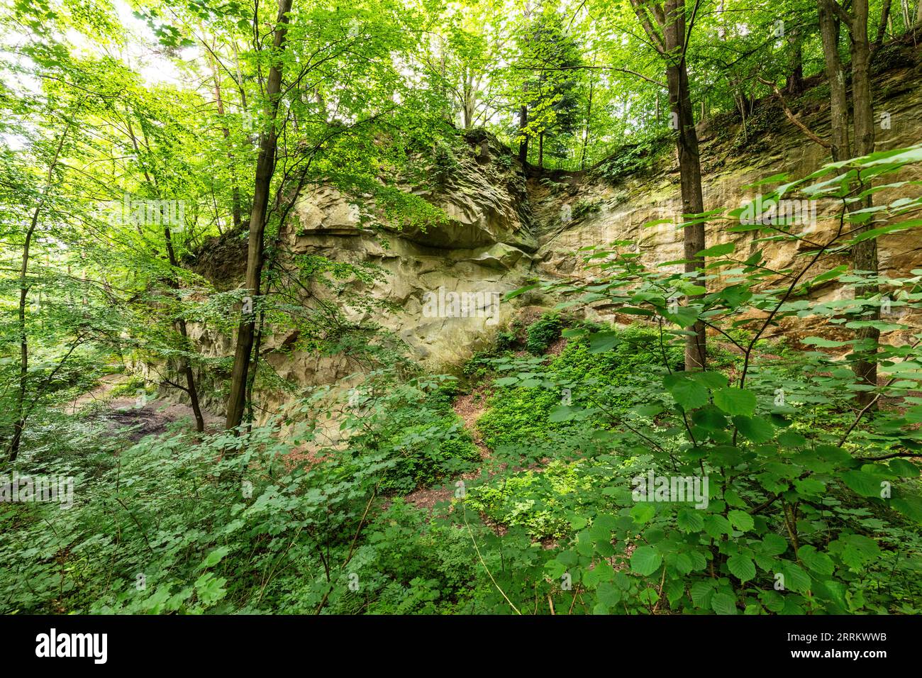 Lesko stone kamien leski hi-res stock photography and images - Alamy