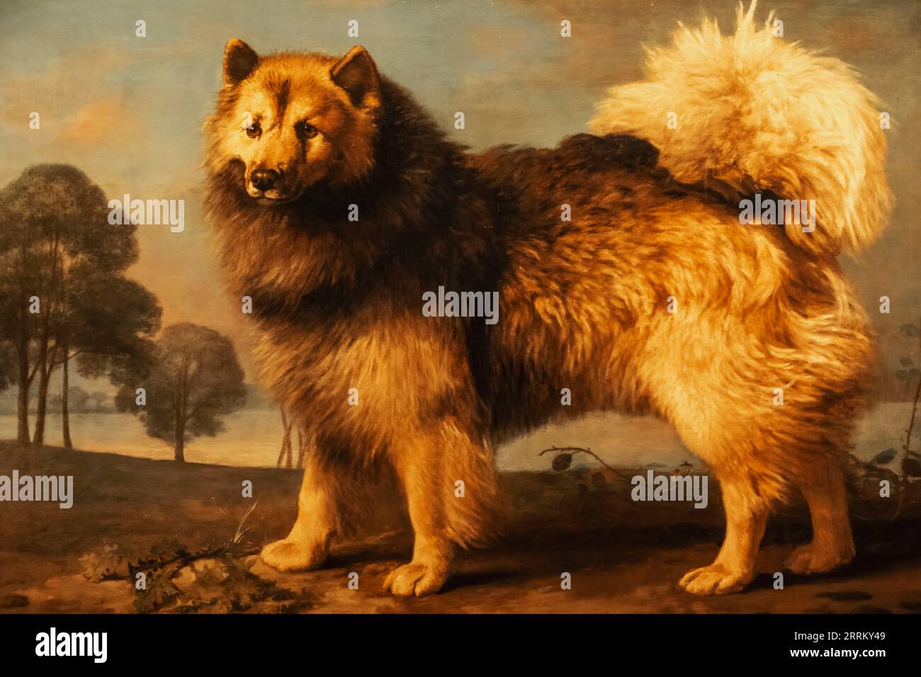 Belonging hi-res stock photography and images - Alamy