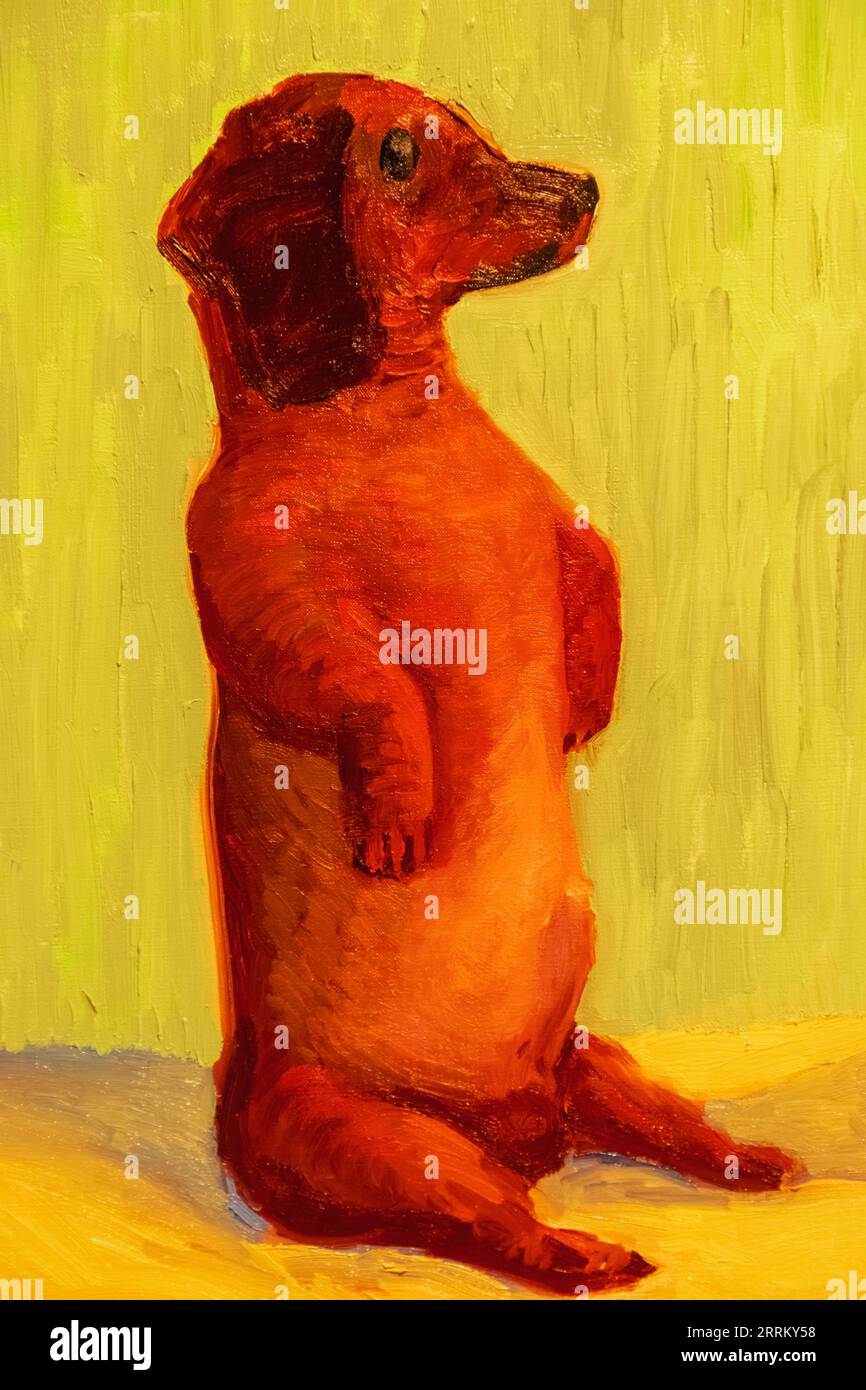 David Hockney Dog Paintings