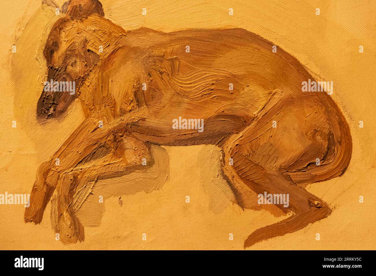 Whippet dog paintings hi-res stock photography and images - Alamy