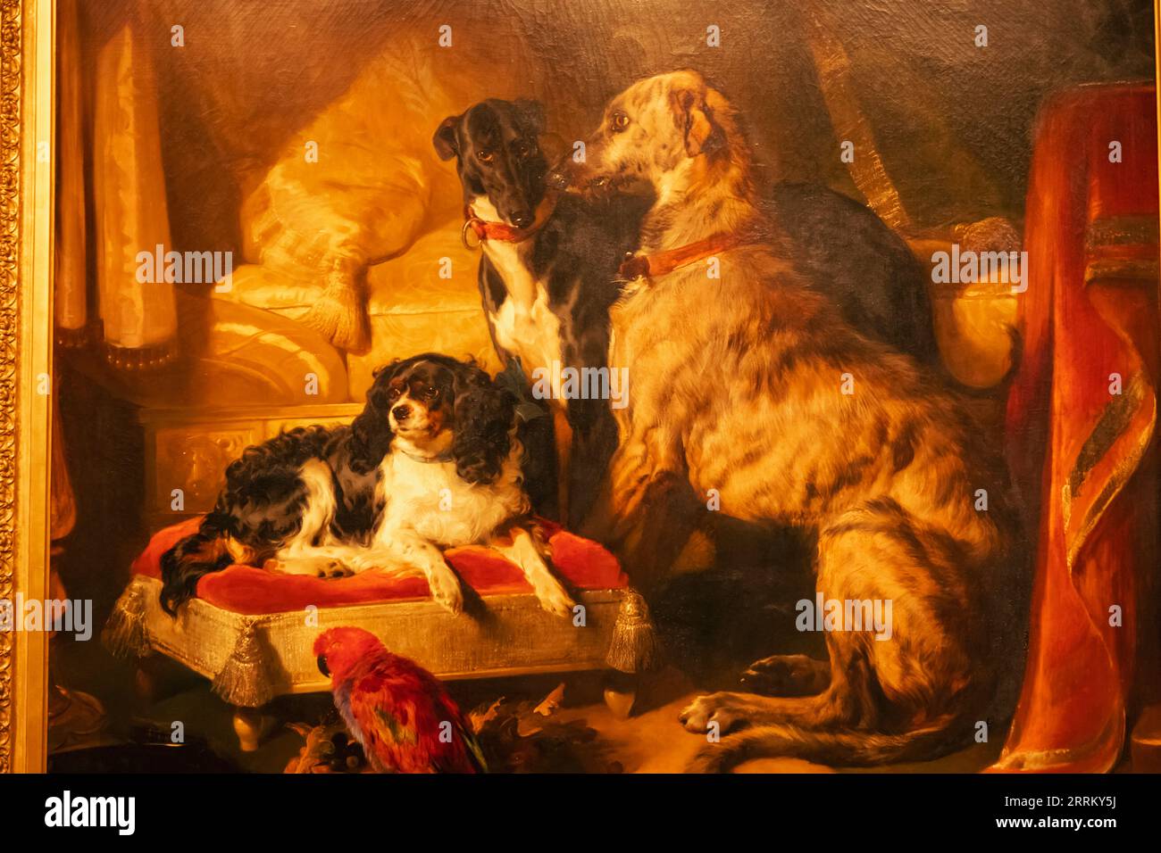 Painting of the Dogs Hector, Nero, and Dash with the Parrot Lory by ...