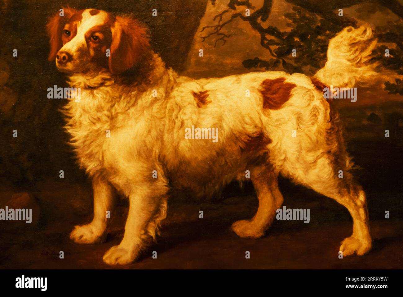 Painting of A Lemon and White Water Spaniel by George Stubbs dated 1784 ...