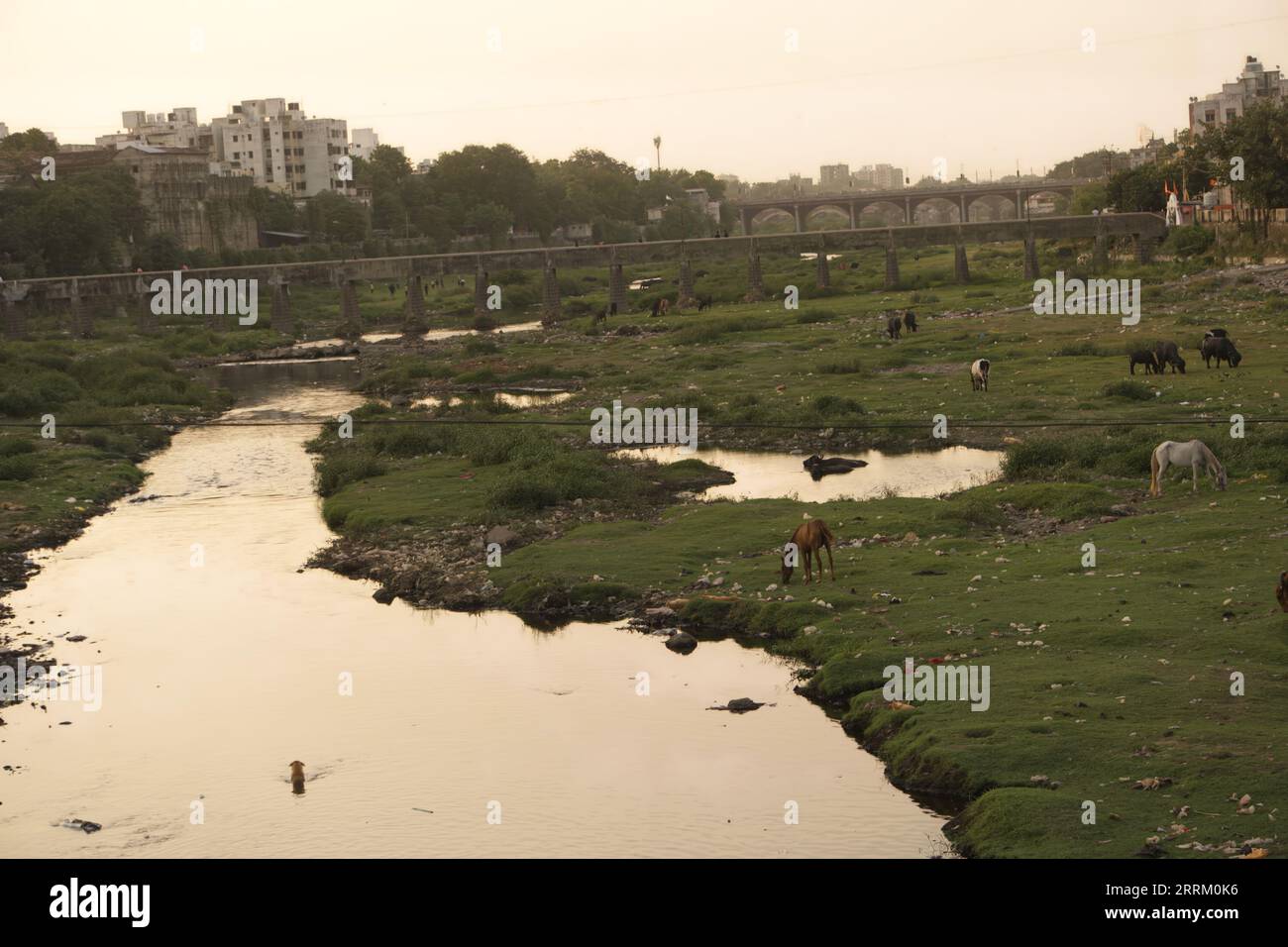 Hanuman bridge hi-res stock photography and images - Alamy