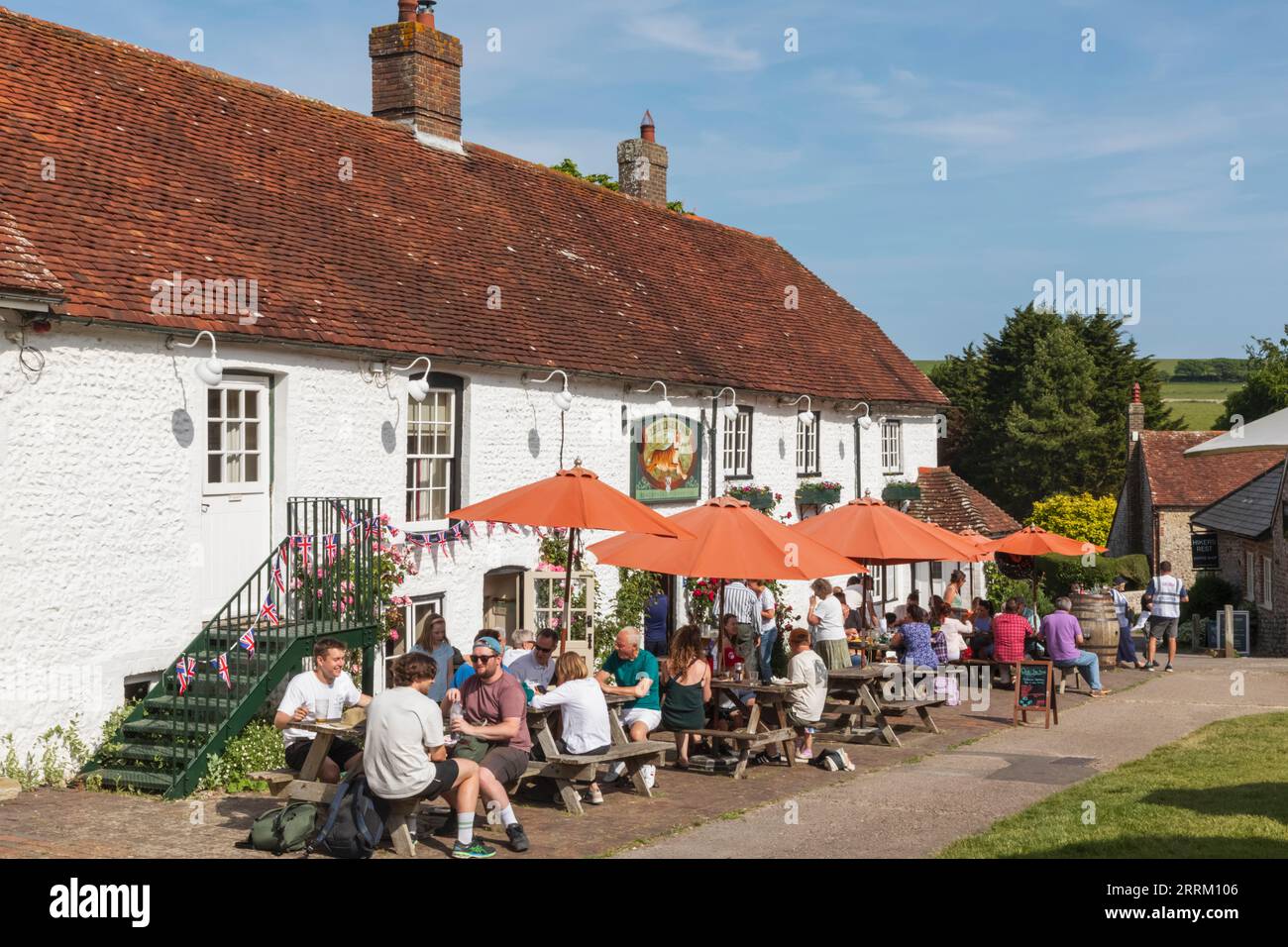 East dean tiger hi-res stock photography and images - Alamy