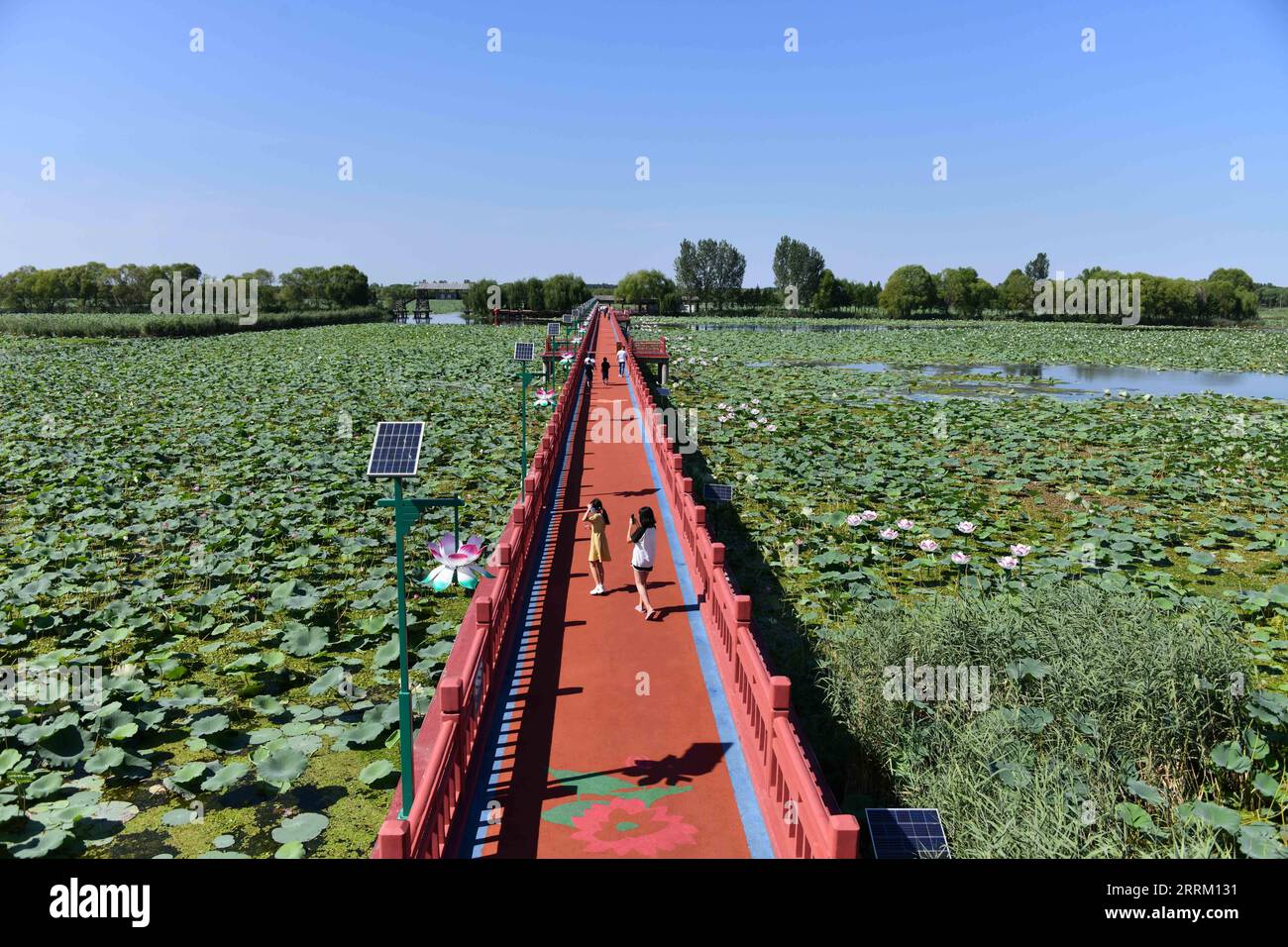 Weishan lake hi-res stock photography and images - Alamy