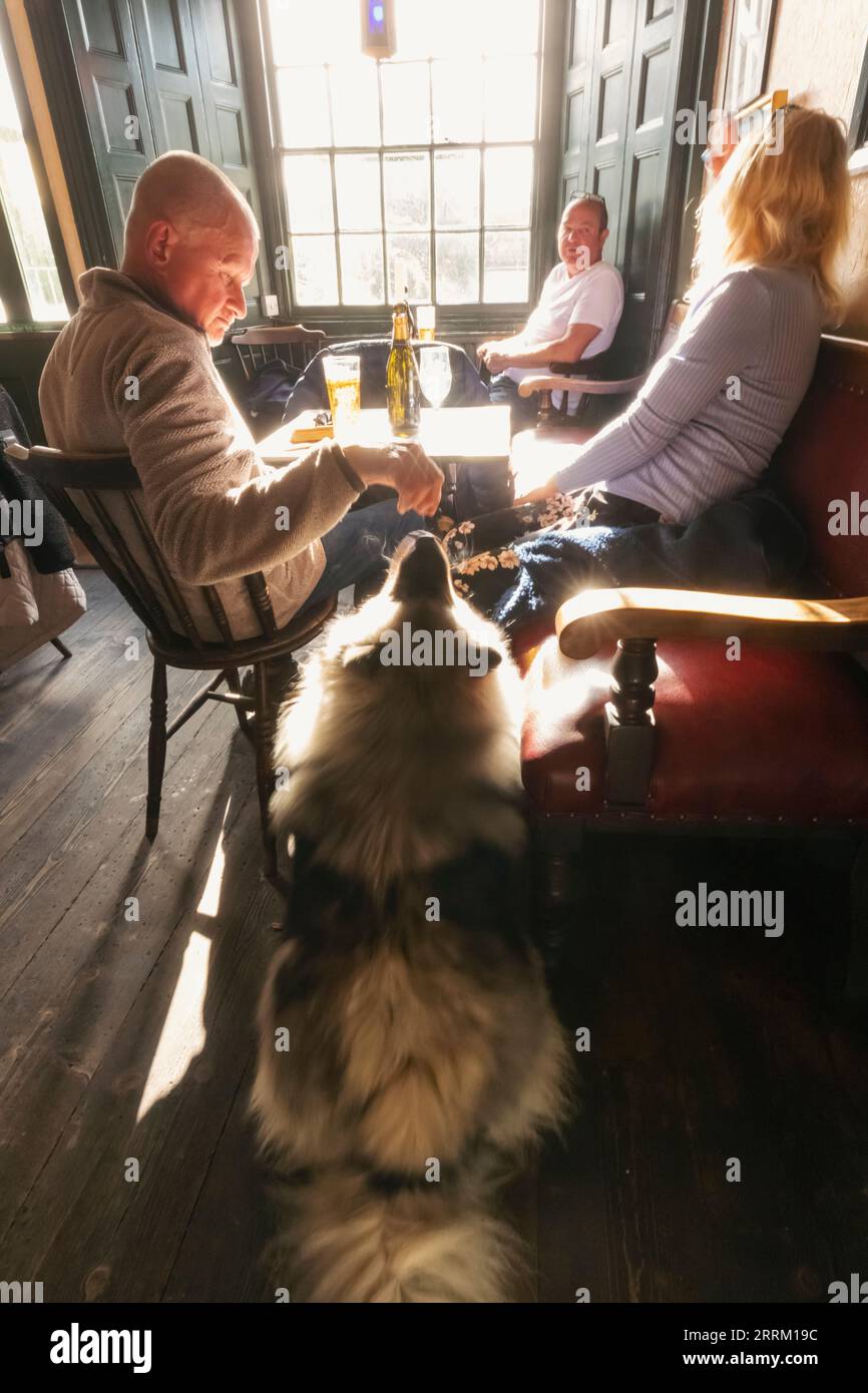 Inside local hi-res stock photography and images - Alamy