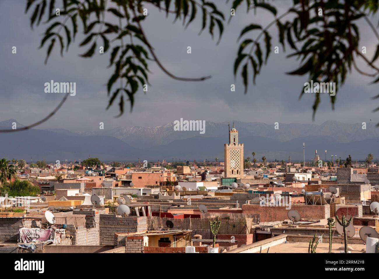 Scenic view of the Marrakech medina and the Atlas mountains in the ...
