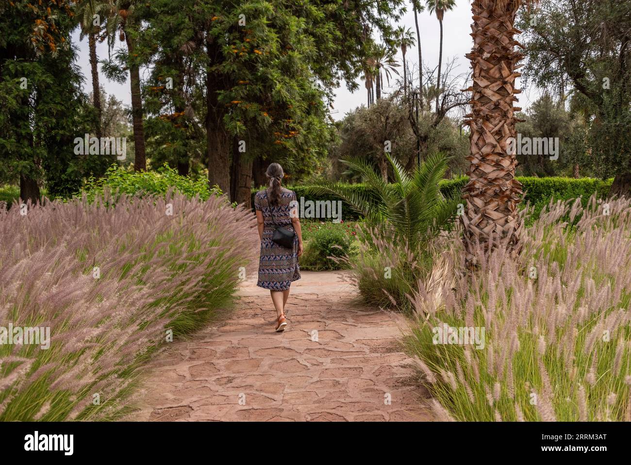 A young woman walking through the park el Harti in Marrakech, Morocco ...