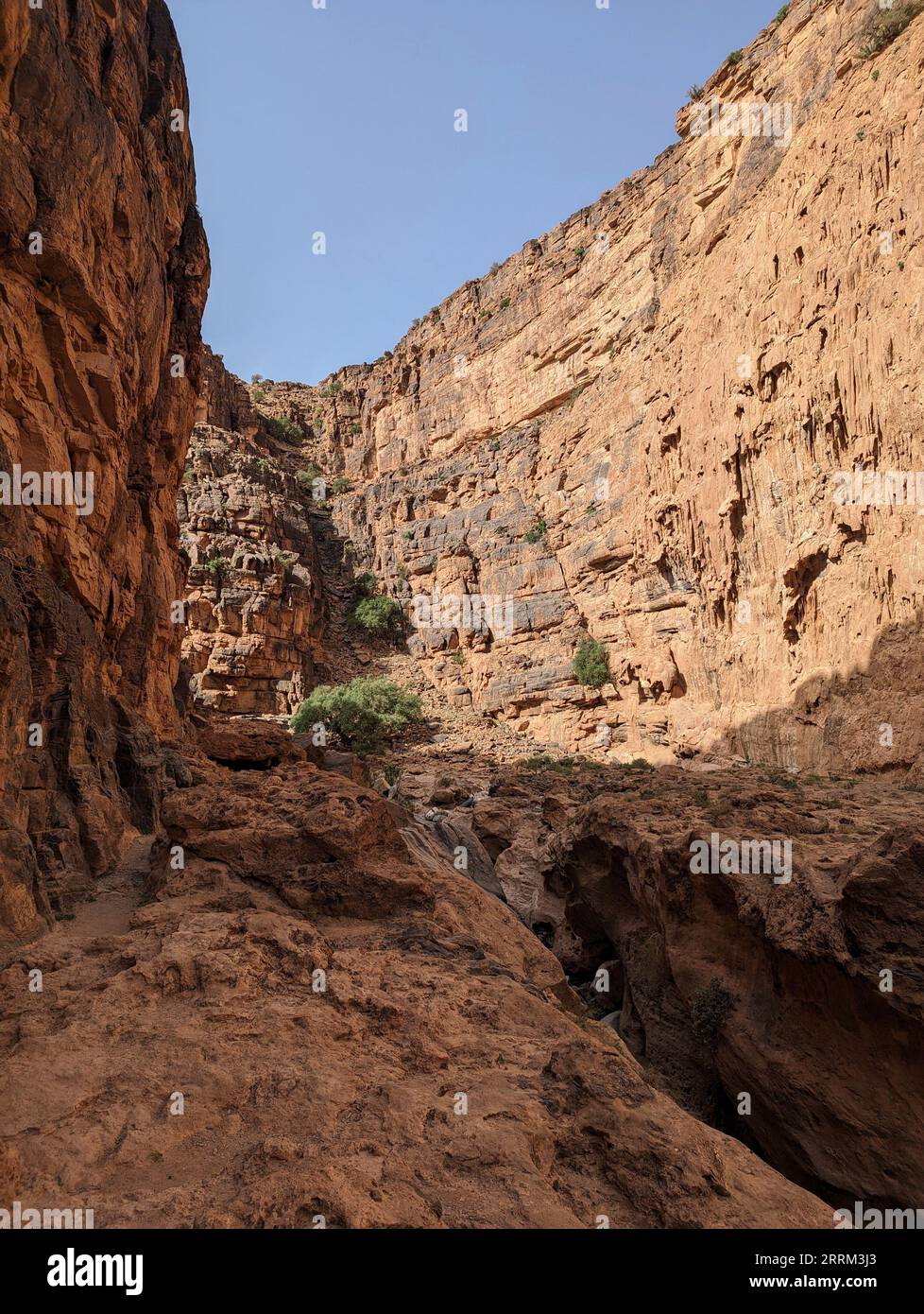 Hiking through the iconic Amtoudi canyon in the Anti-Atlas, Morocco ...