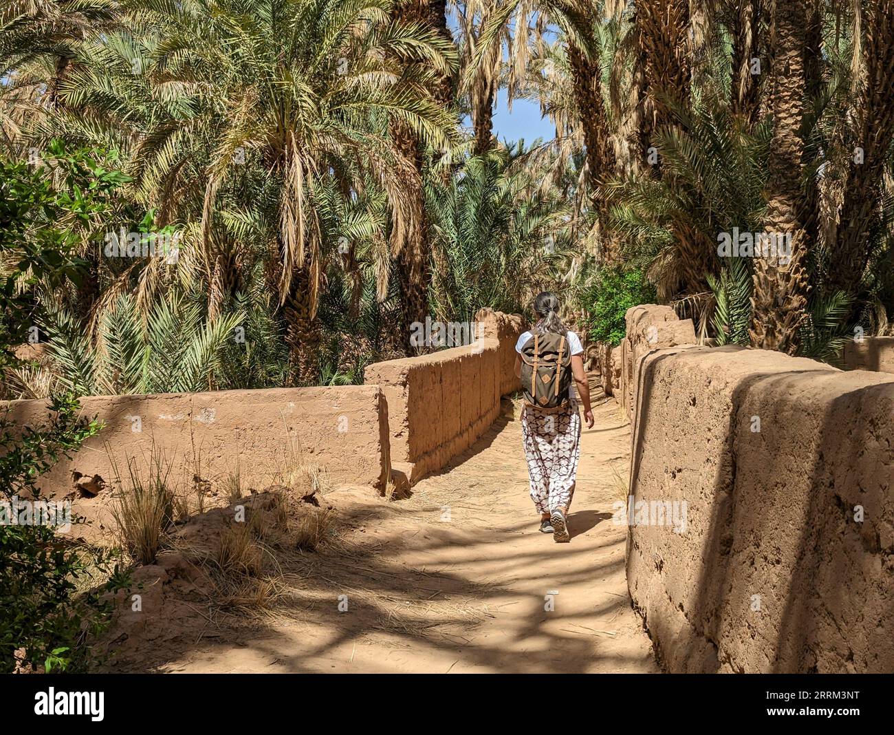Hiker in scenic agriculture landscape in the beautiful draa valley hi ...