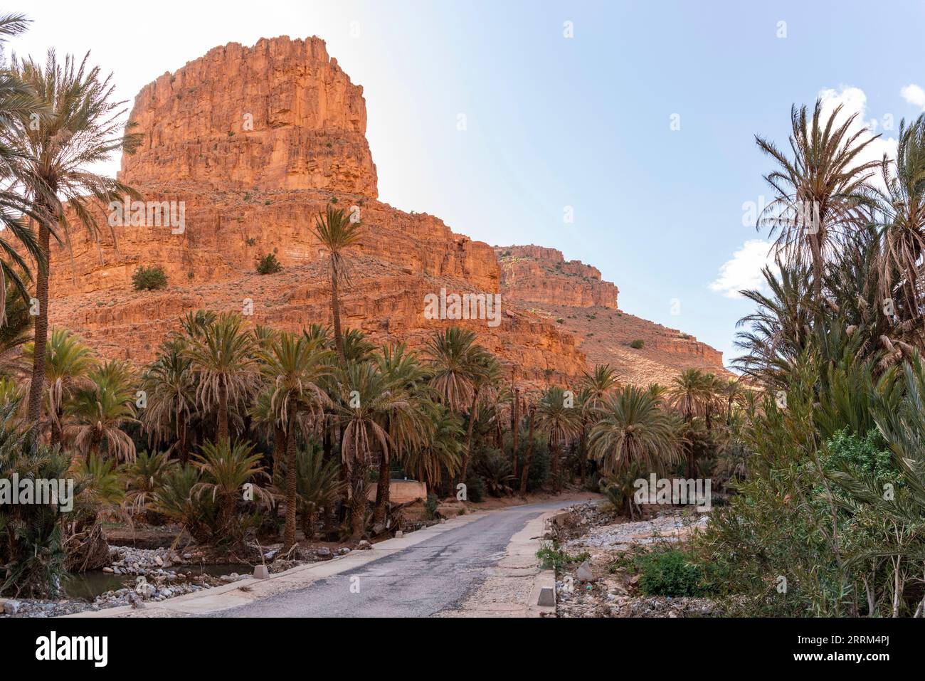 Magnificent oasis in the Ait Mansour gorge in the Anti-Atlas mountains ...