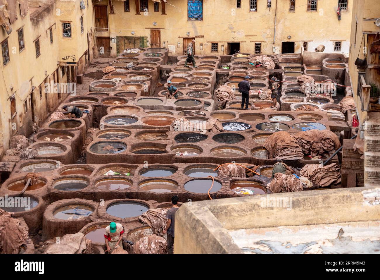 Fes, Morocco, Famous tannery in the medina of Fes, where leather is ...