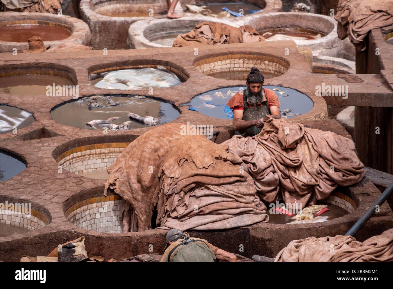 Fes, Morocco, Famous tannery in the medina of Fes, where leather is ...
