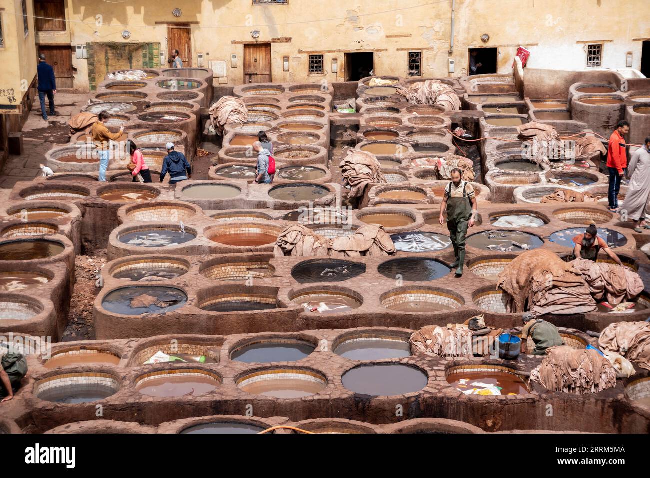 Fes, Morocco, Famous tannery in the medina of Fes, where leather is ...