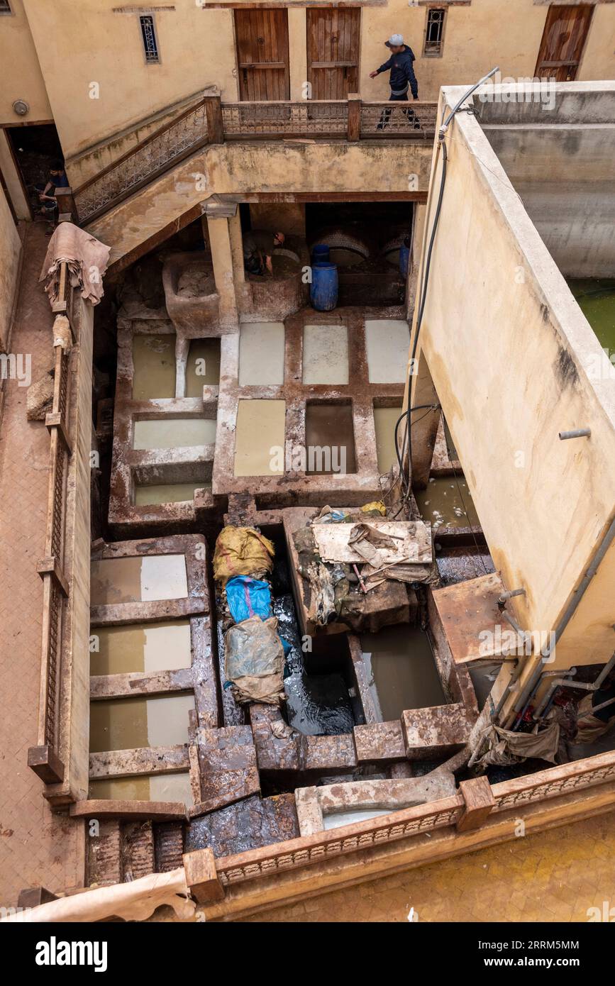 Fes, Morocco, Famous tannery in the medina of Fes, where leather is ...