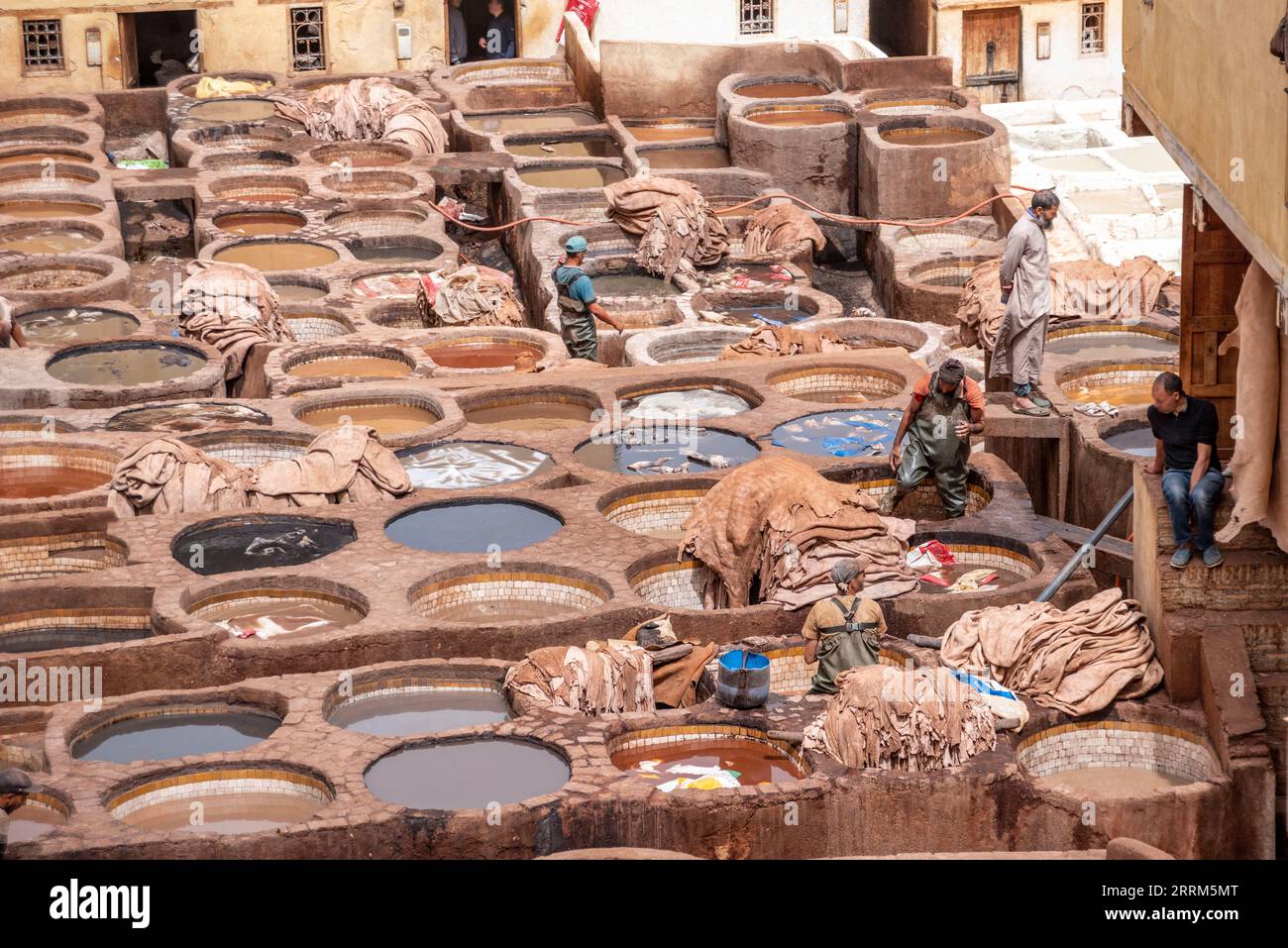 Fes, Morocco, Famous tannery in the medina of Fes, where leather is ...